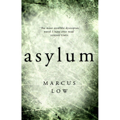 Asylum By Marcus Low | The Works