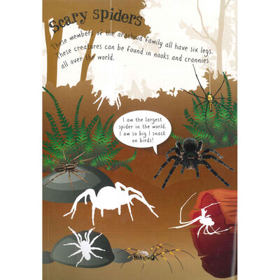 Insects and Bugs Sticker Activity Book By Alligator Books | The Works