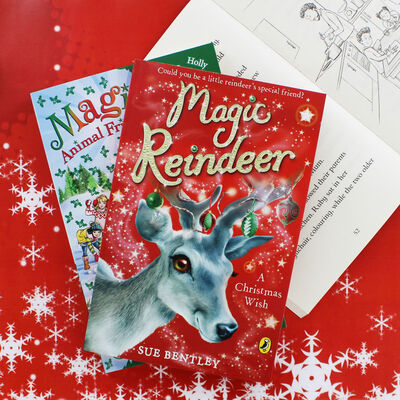 Magic Reindeer: A Christmas Wish By Sue Bentley | The Works