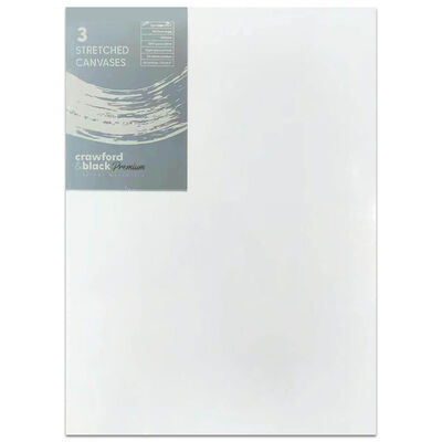 Crawford & Black Premium Stretched Canvases 12 x 16.5 Inches: Pack of 3 ...