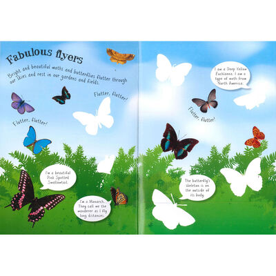 Insects and Bugs Sticker Activity Book By Alligator Books | The Works