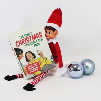 The Funny Christmas Stocking Filler Book From 0.10 GBP | The Works