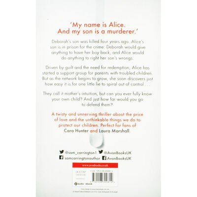 One Little Lie By Sam Carrington | The Works