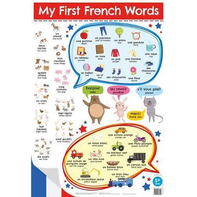 My First French Words Wall Chart By | The Works