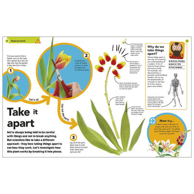 How to Be a Scientist By DK | The Works