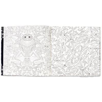 secret garden owl coloring