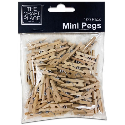 Mini Wooden Pegs: Pack of 100 From 2.00 GBP | The Works