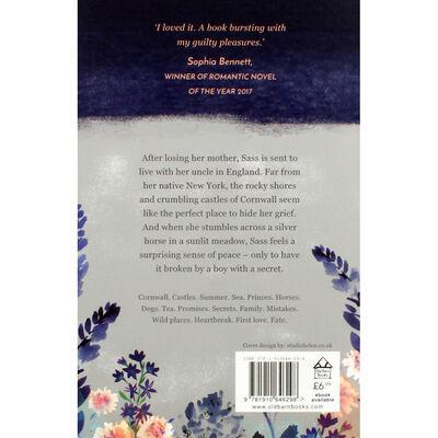 One Silver Summer By Rachel Hickman | The Works