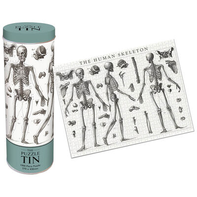 Skeleton 1000 Piece Jigsaw Puzzle in Tin From 8.00 GBP | The Works