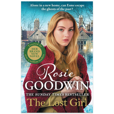 The Lost Girl By Rosie Goodwin | The Works