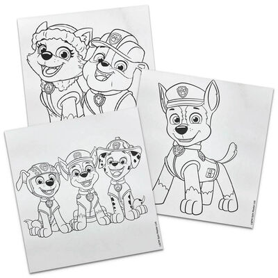 Paw Patrol Colouring Pad, Pencil and Eraser Set By Paw Patrol | The Works