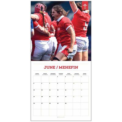 Welsh Rugby Union 2023 Square Calendar From 0.50 GBP | The Works