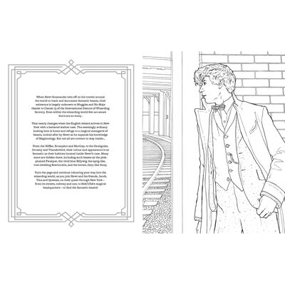 newt coloring book