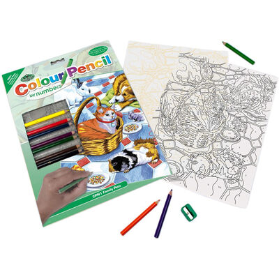 Colour By Numbers Kit: Pets From 3.00 GBP | The Works