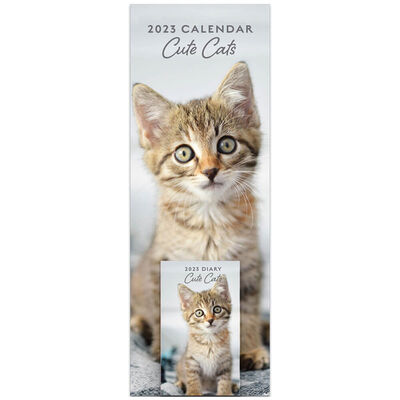 Cute Cats 2023 Slim Calendar and Week to View Diary Set From 0.50 GBP ...